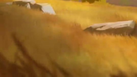 Grass Genshin Impact | HoYoLAB