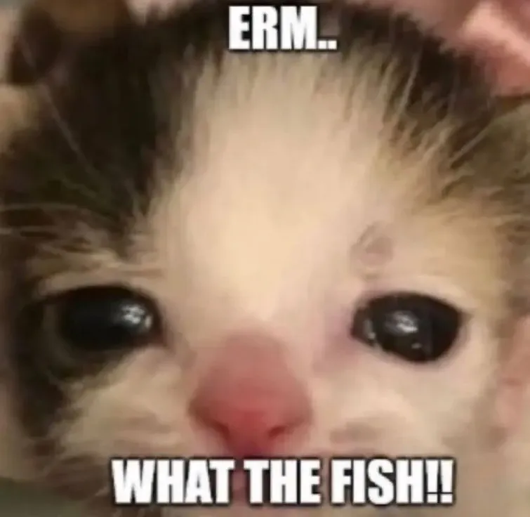 erm... what the fish Genshin Impact | HoYoLAB