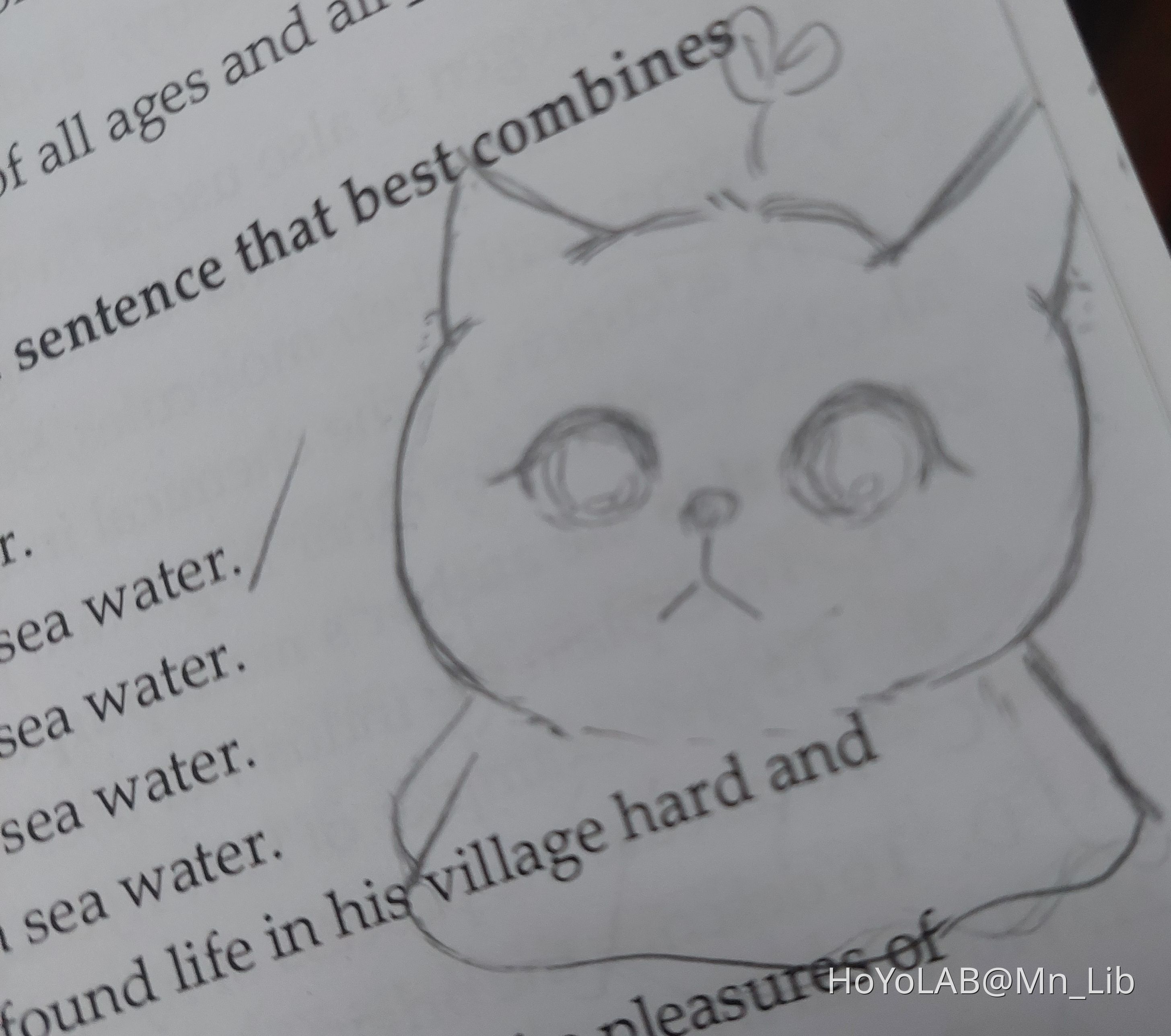 Nổi niềm của người muốn nuôi mèo Honkai: Star Rail | HoYoLAB