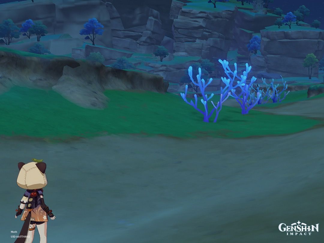 Strange blue Inazuma Cacti Genshin Impact | HoYoLAB