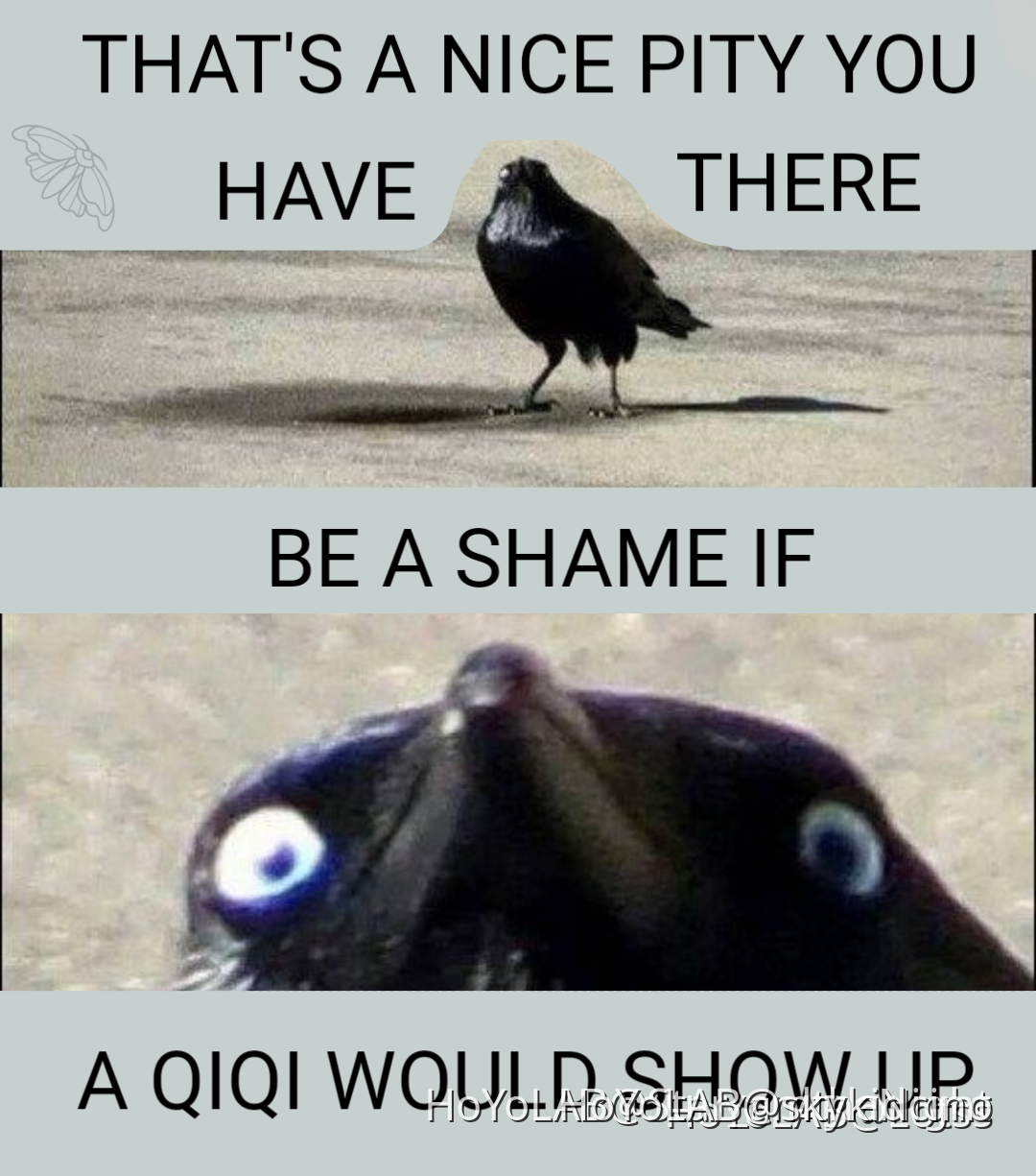 I've been collecting too many memes, so lemme just bombard you with ...