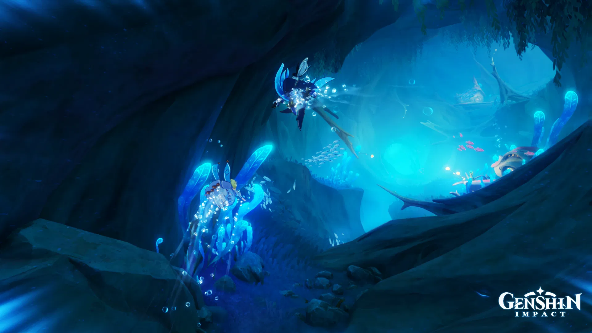 Happy birthday, Neuvillette! (18/12/2023) Genshin Impact | HoYoLAB