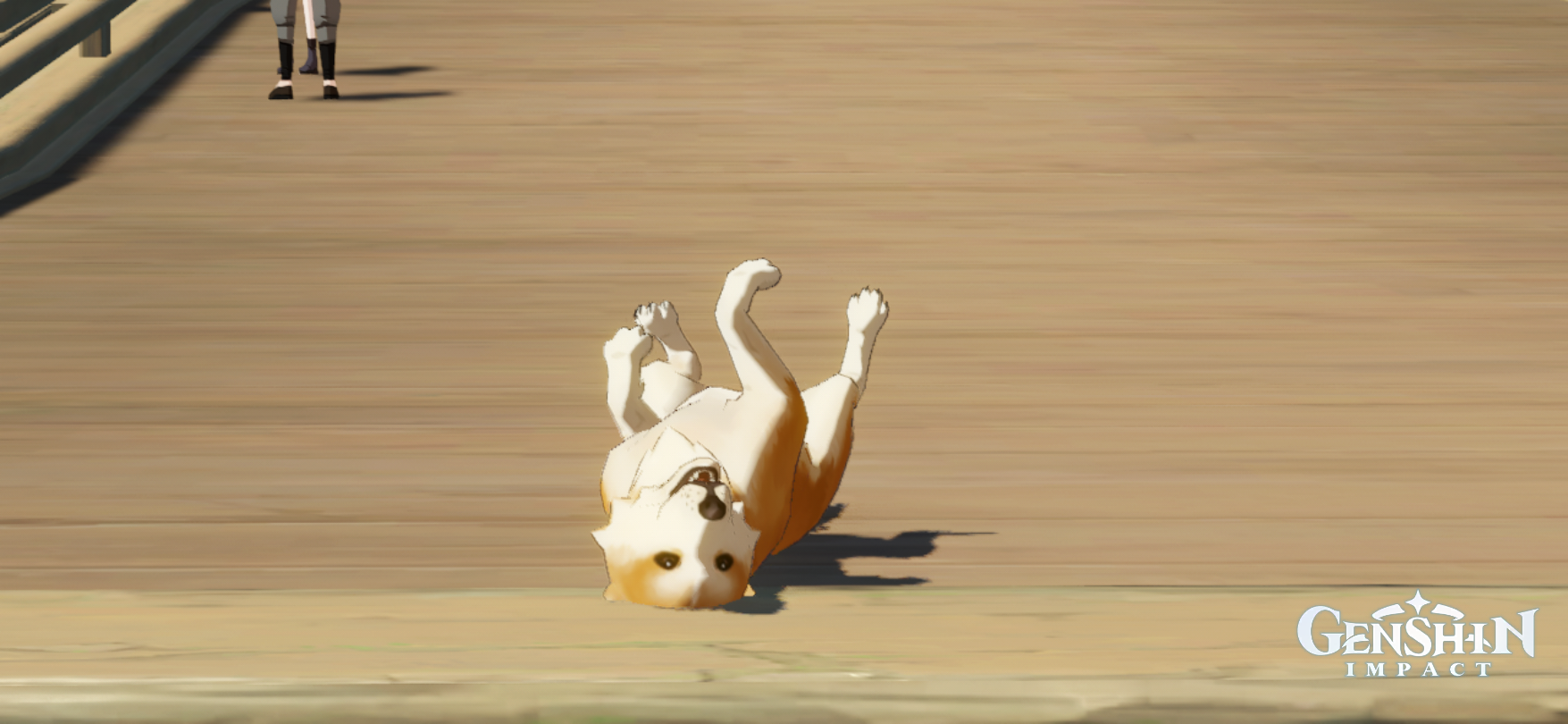 Dog-o Genshin Impact | HoYoLAB