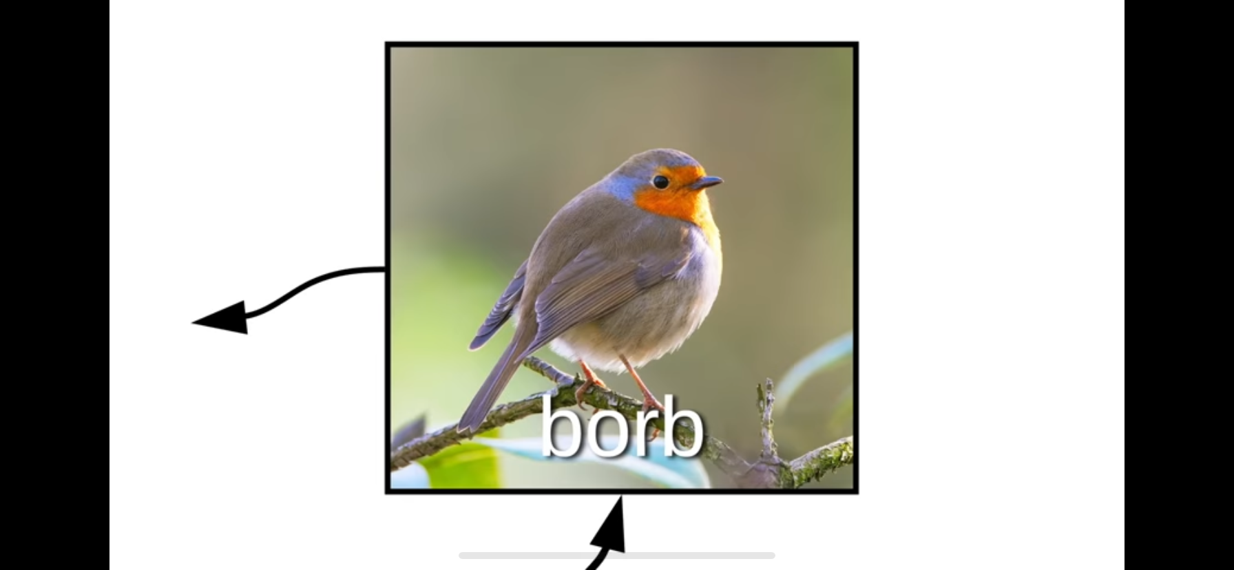 I figured out what Xiao birb/bird form is Genshin Impact | HoYoLAB