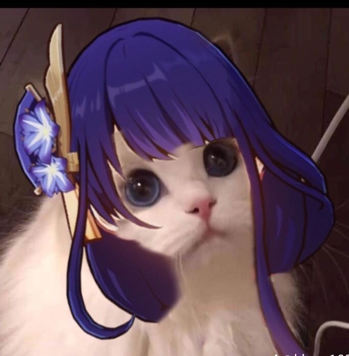 Raiden shogun meow~ Genshin Impact | HoYoLAB