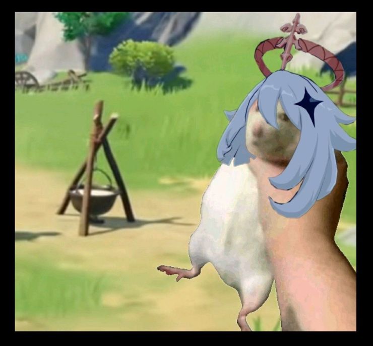 Cooking Time Genshin Impact | HoYoLAB