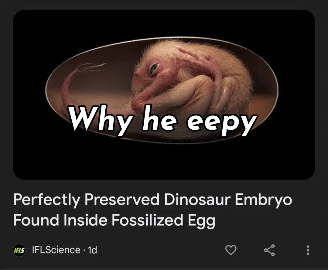 Why he eepy | HoYoLAB