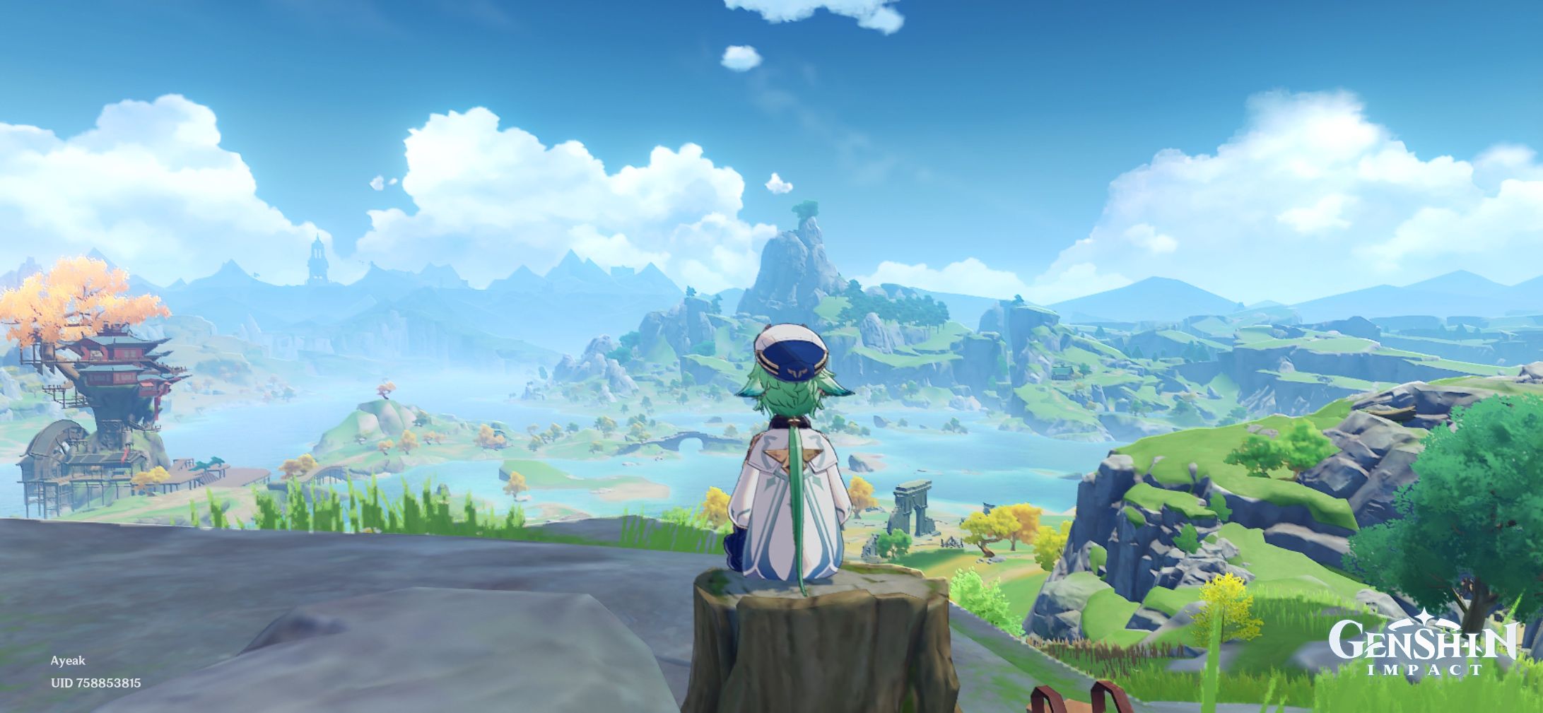 Taking in the view Genshin Impact | HoYoLAB