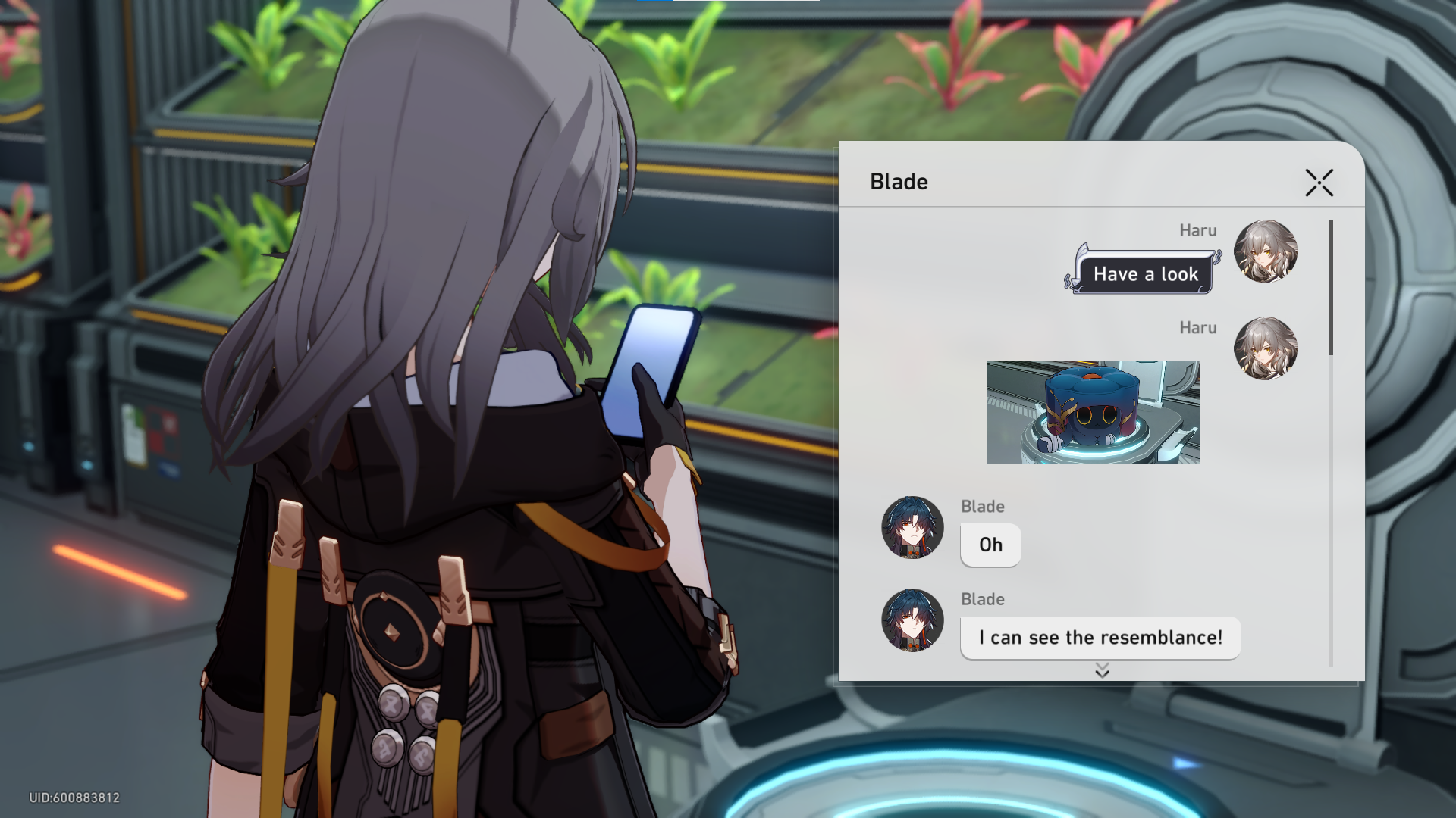 I love this event so much - Blade cat look-alike Honkai: Star Rail ...