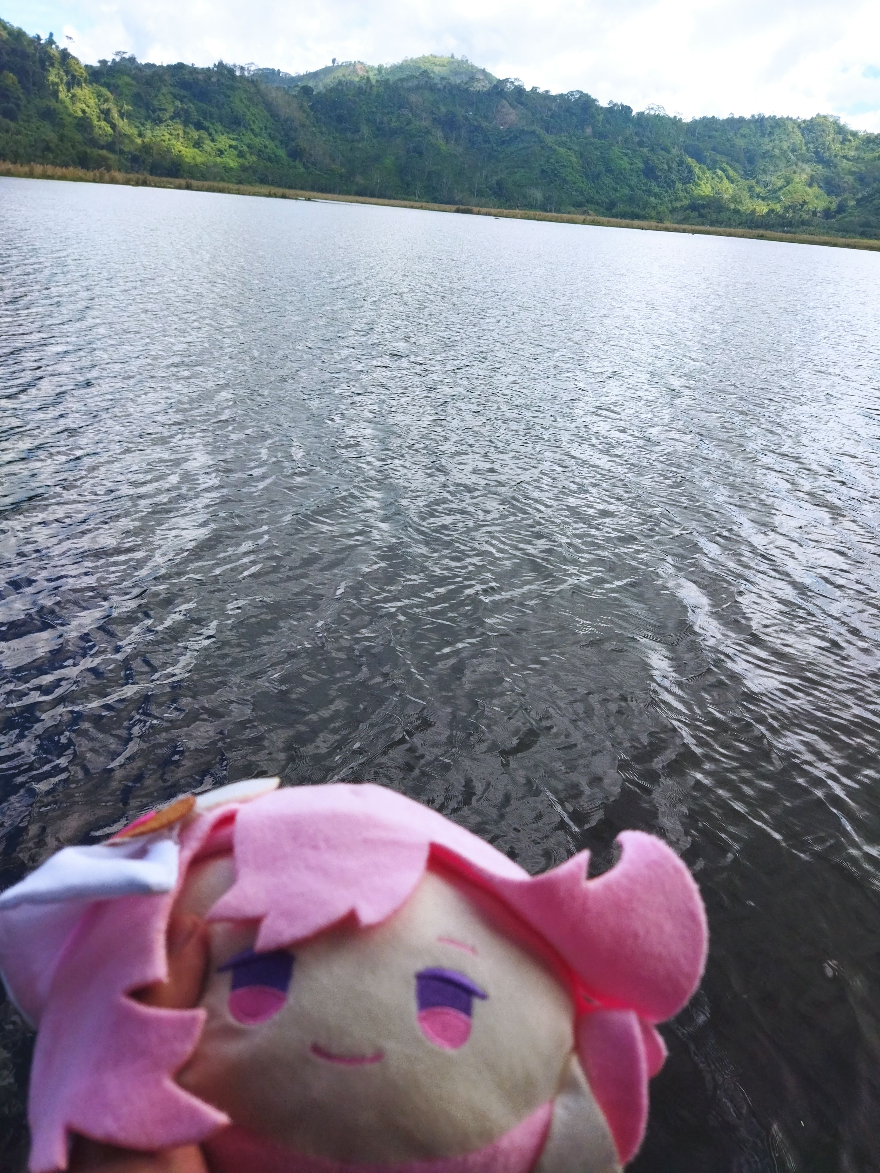 Day 27 of ely plush in wacky locations - ely bean at da lake and a ...