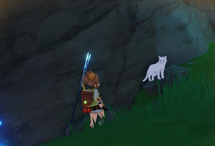 How to catch this full white cat?!! Genshin Impact | HoYoLAB