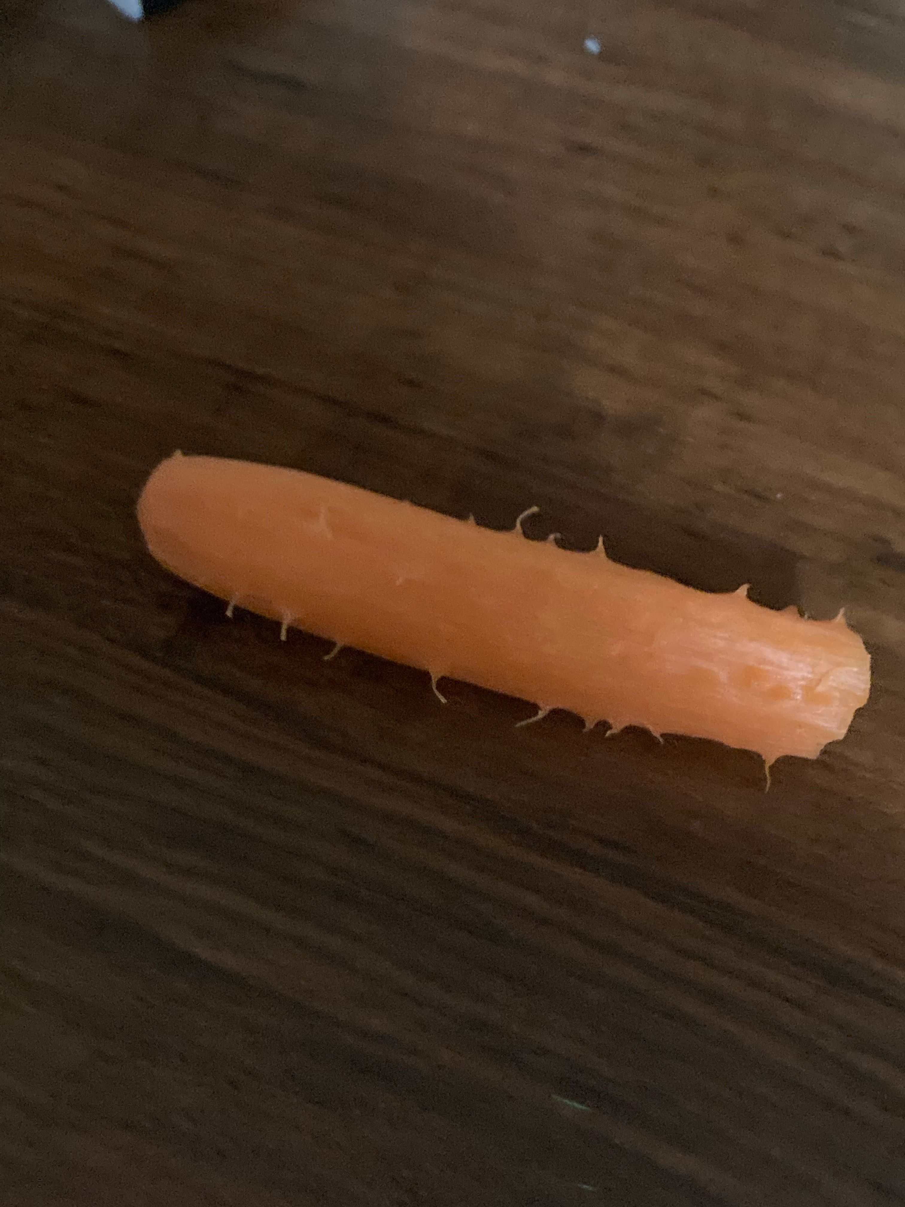 Help why does the inside of my carrot look like this?! | HoYoLAB