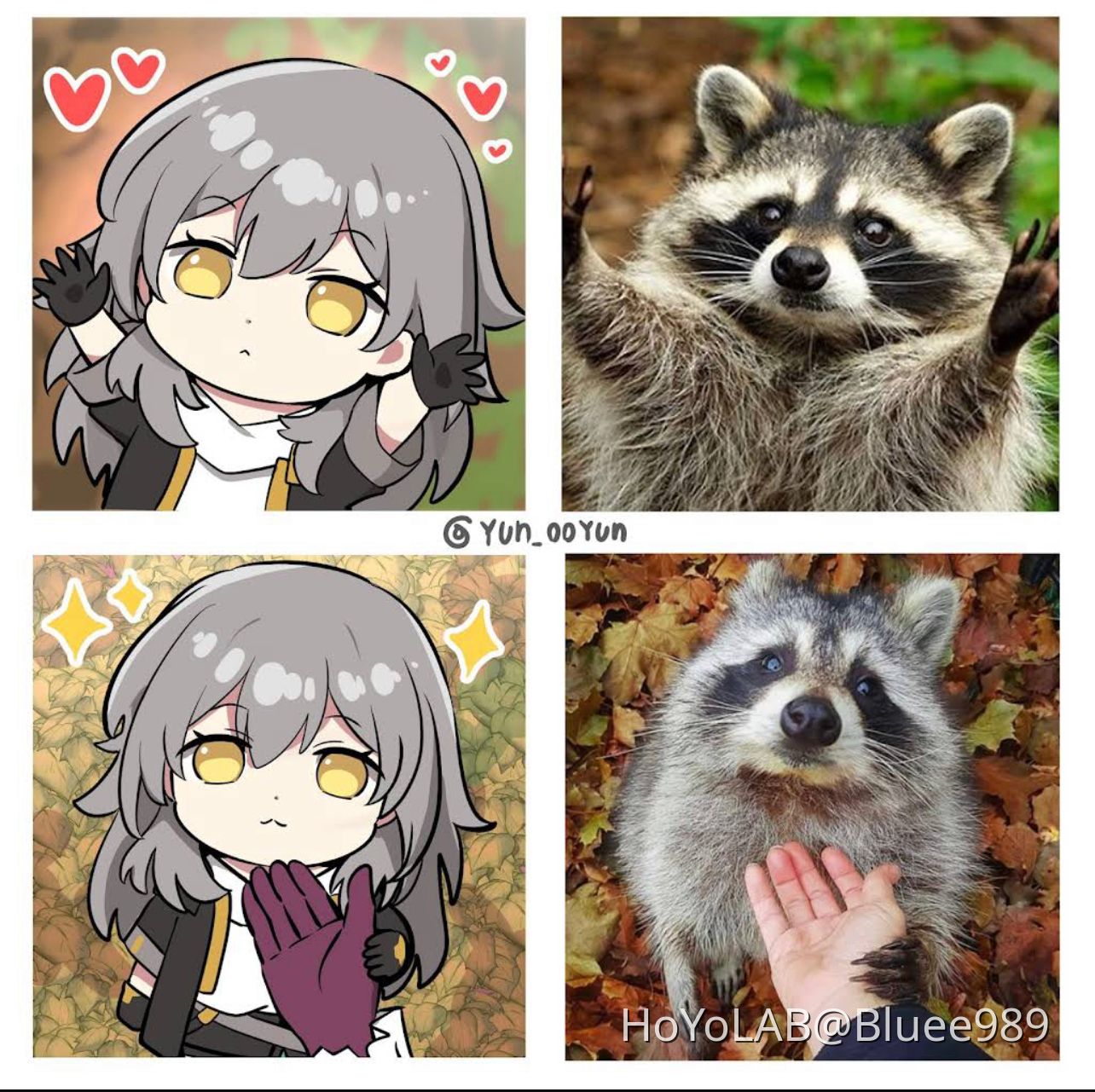 Racoon 🦝 ️ ️ Honkai: Star Rail | HoYoLAB