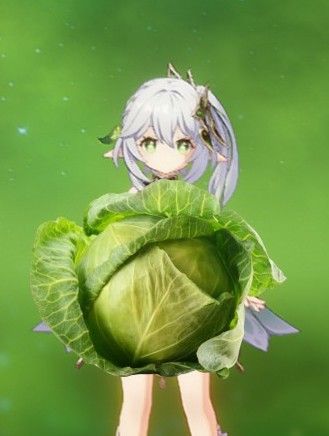 lil cabbage lady Genshin Impact | HoYoLAB