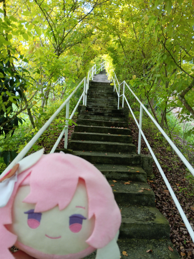 Day 30 of ely plush in wacky locations - walking up a thousand steps ...