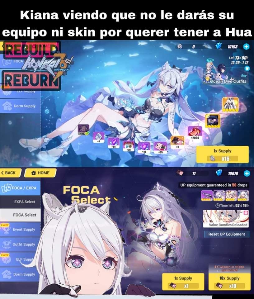Pido perdón Tuna Honkai Impact 3rd | HoYoLAB