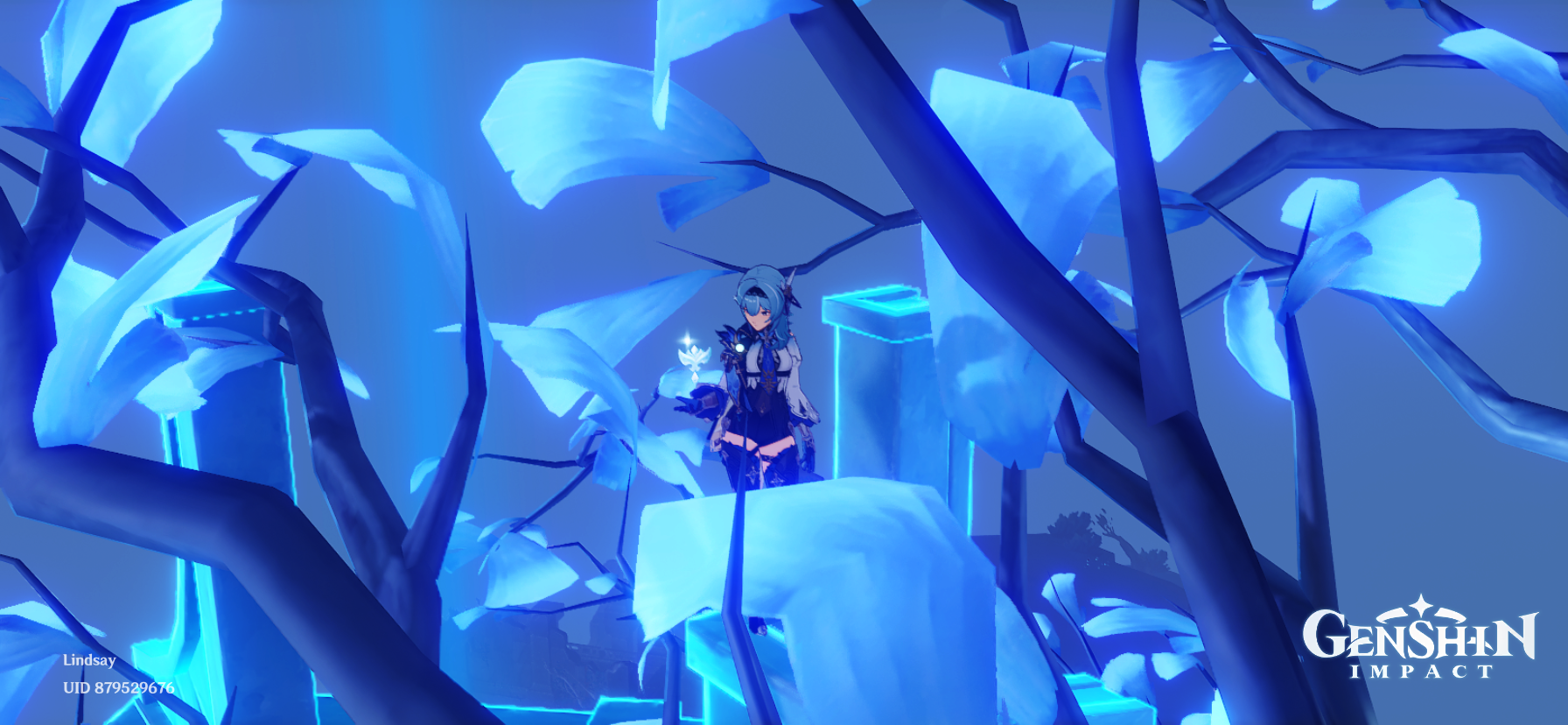 I found nice tree Genshin Impact | HoYoLAB