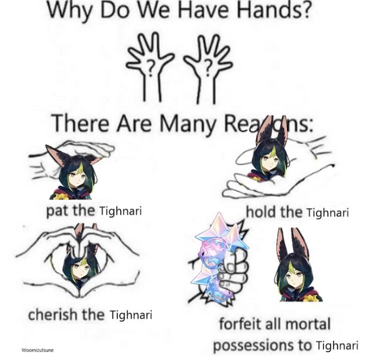 Tighnari appreciation post 🫶🫶 Genshin Impact | HoYoLAB