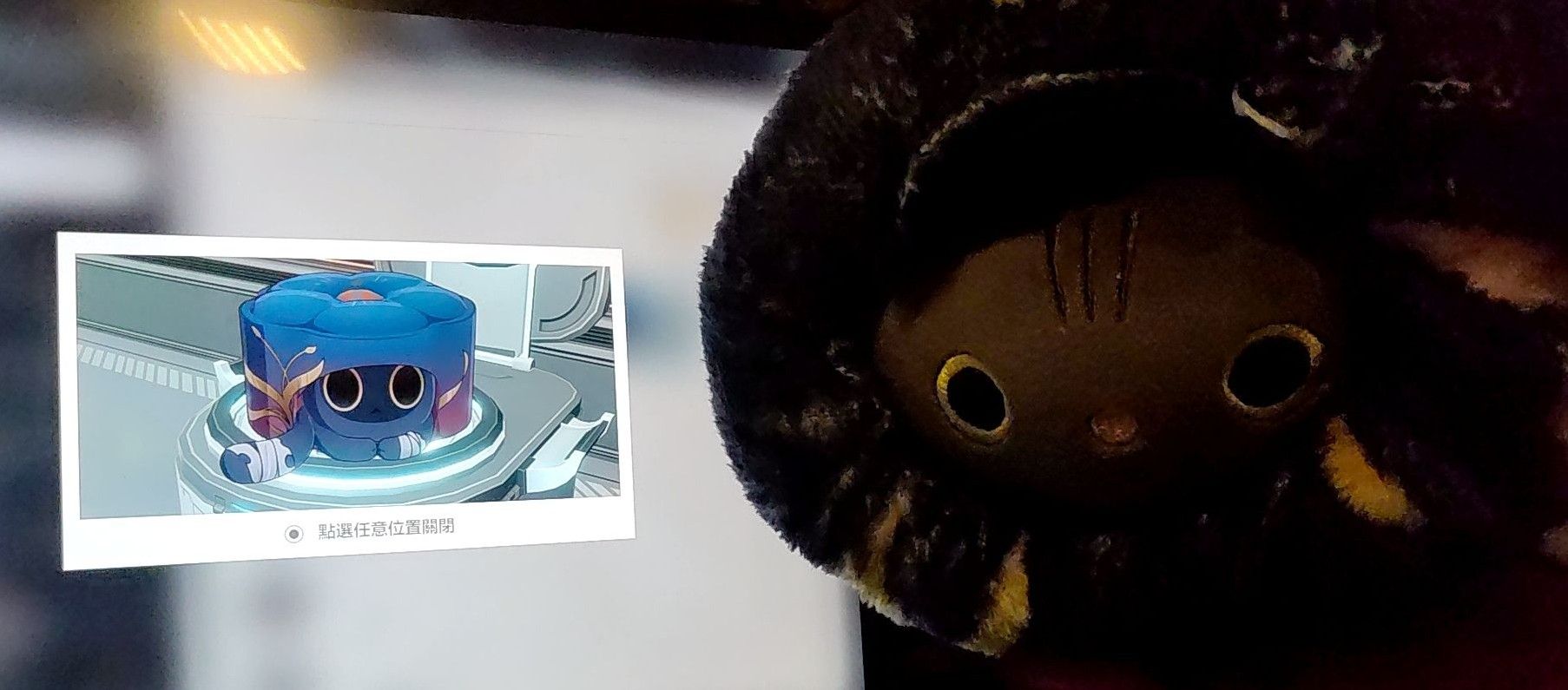 (Checking-in for Blade Day 5) Sesame Cake (Blade Meow) in real life ...