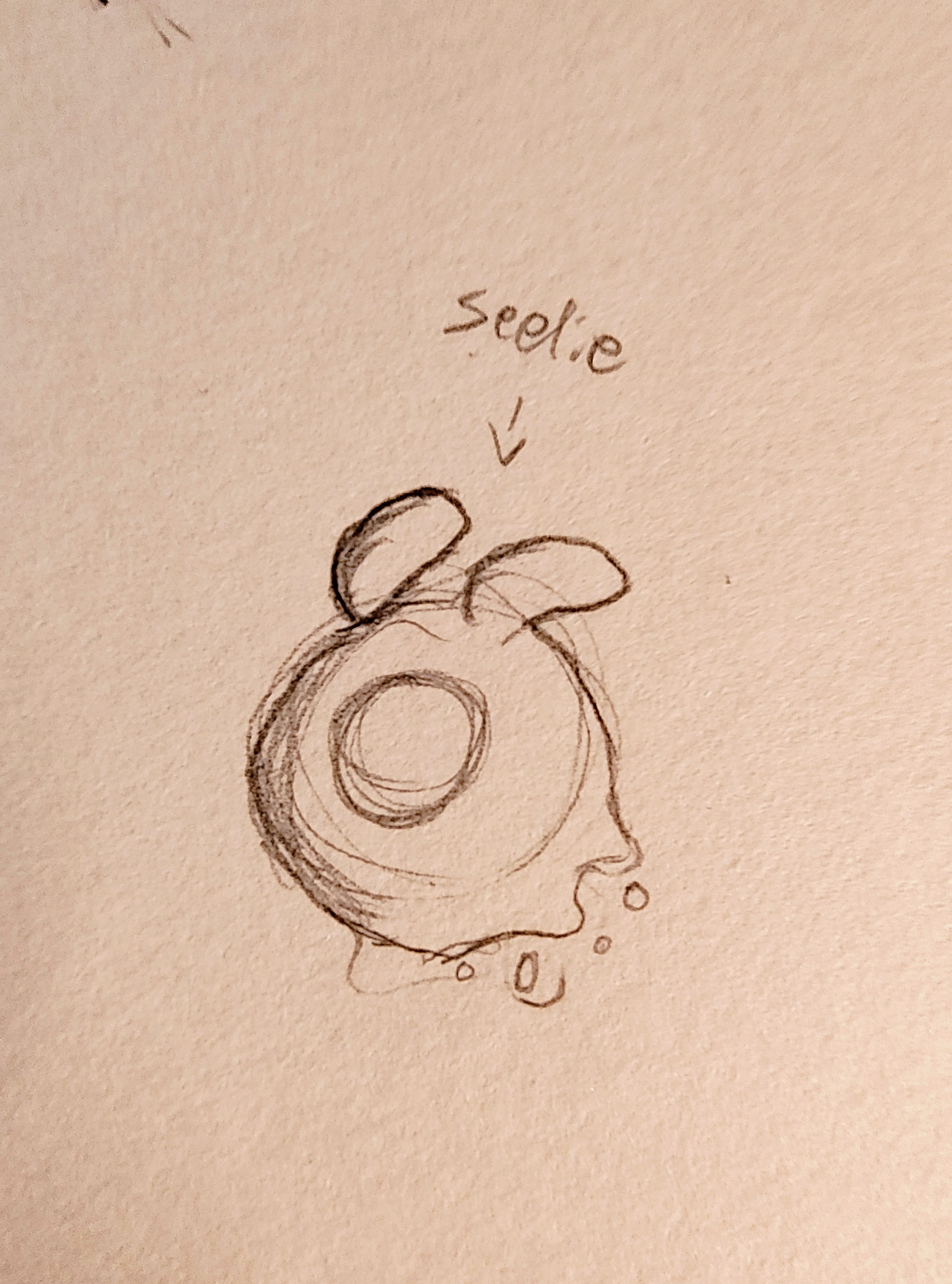 Some doodles Genshin Impact | HoYoLAB