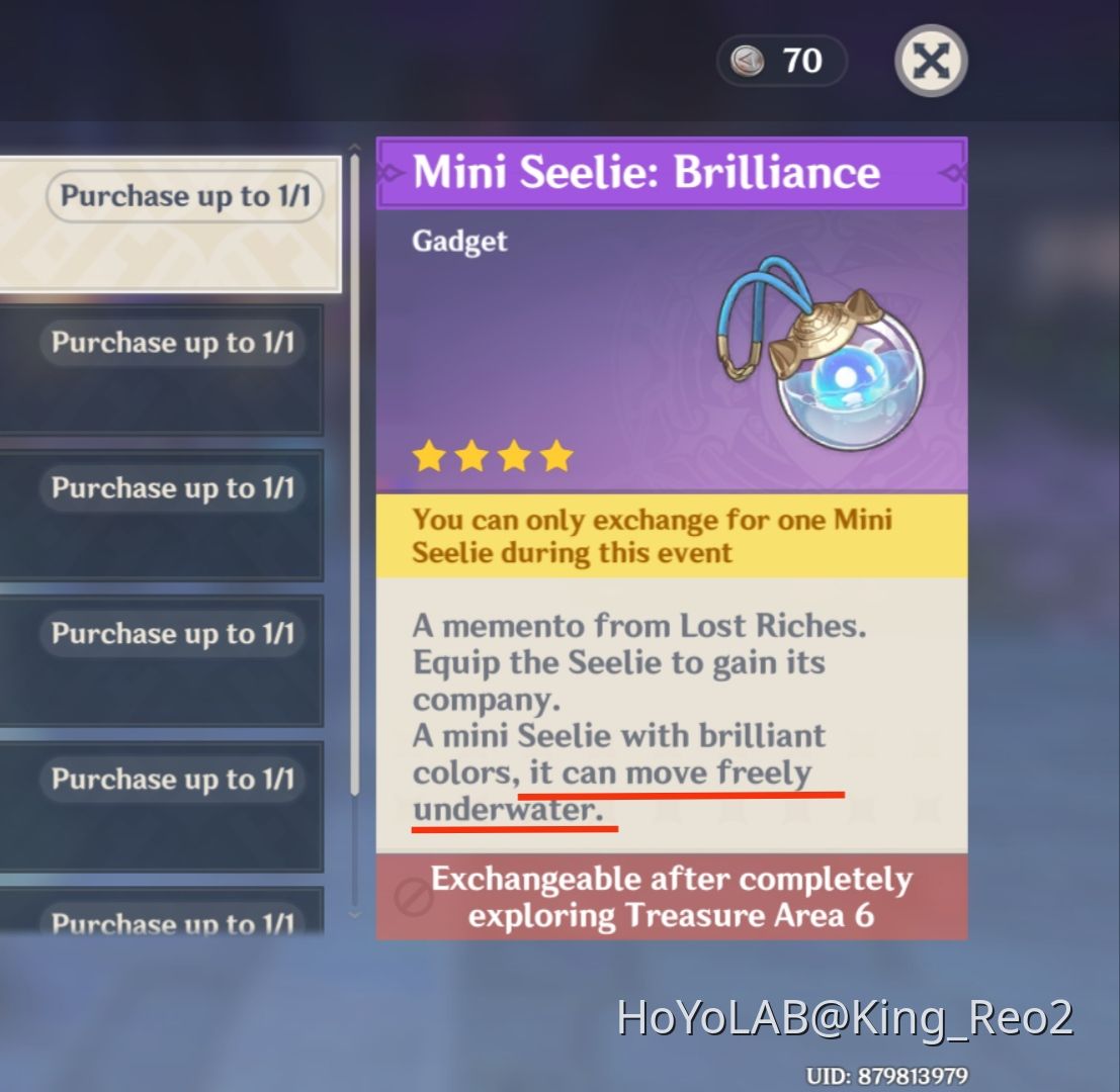 this seele looks kinda special , was this seele included in previous ...