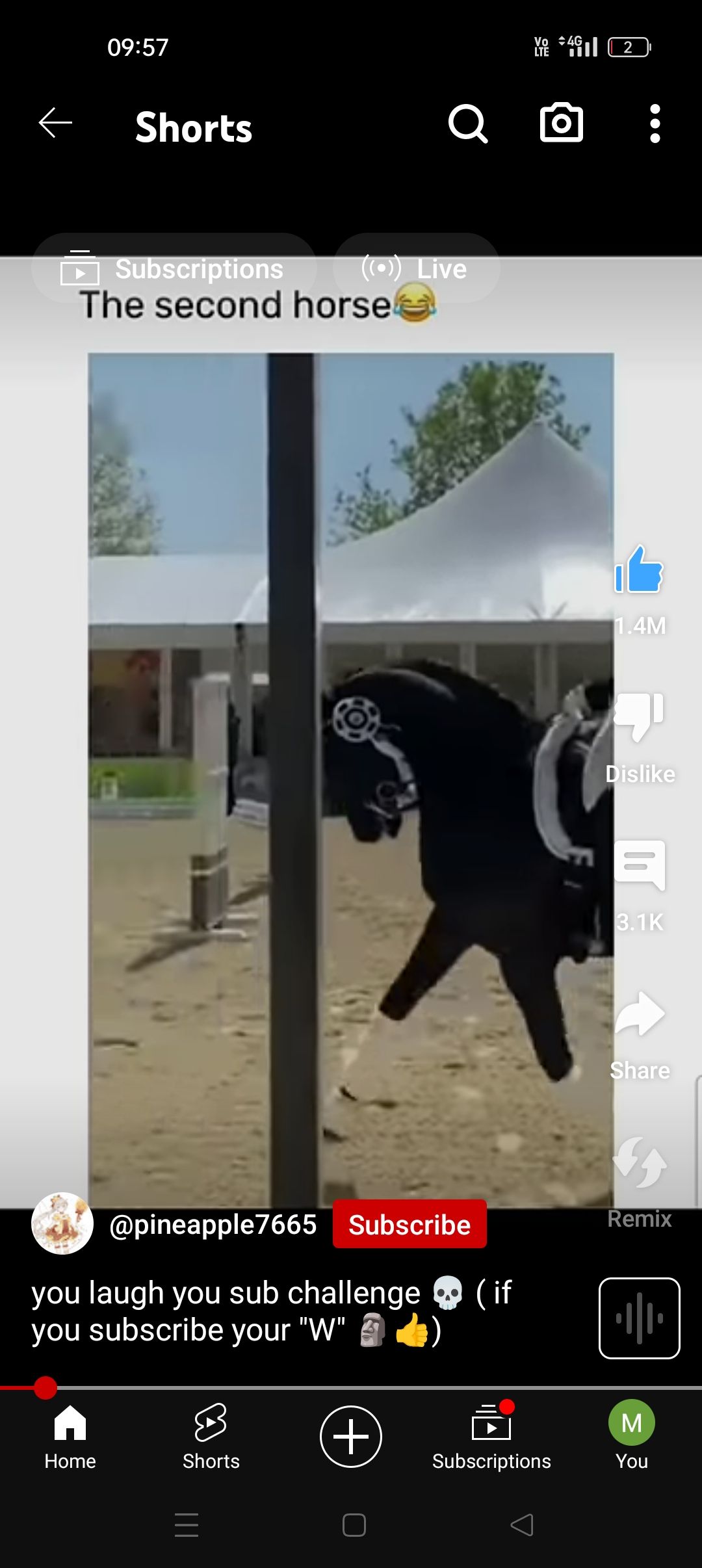 Slickback horse meme | HoYoLAB