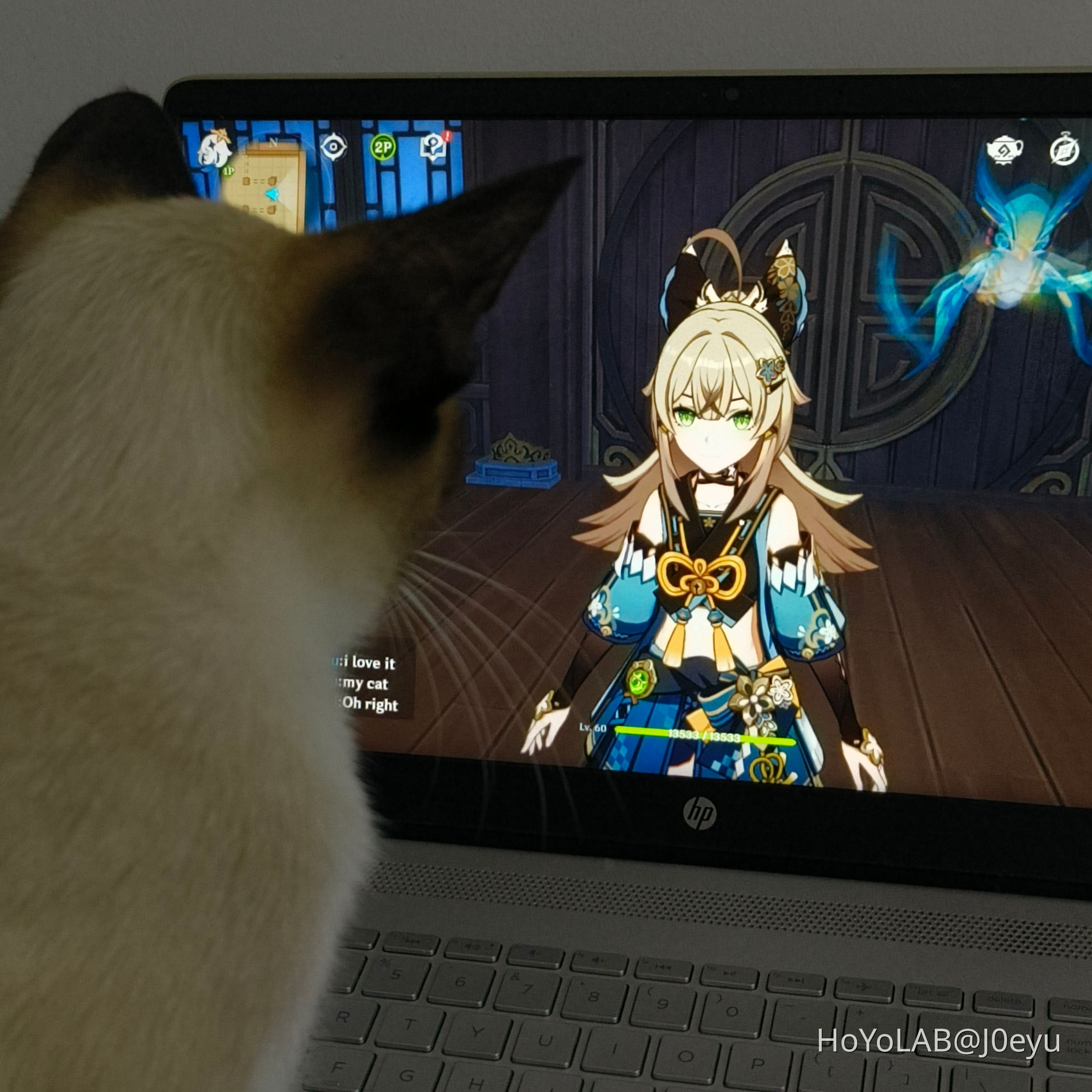 meow Genshin Impact | HoYoLAB