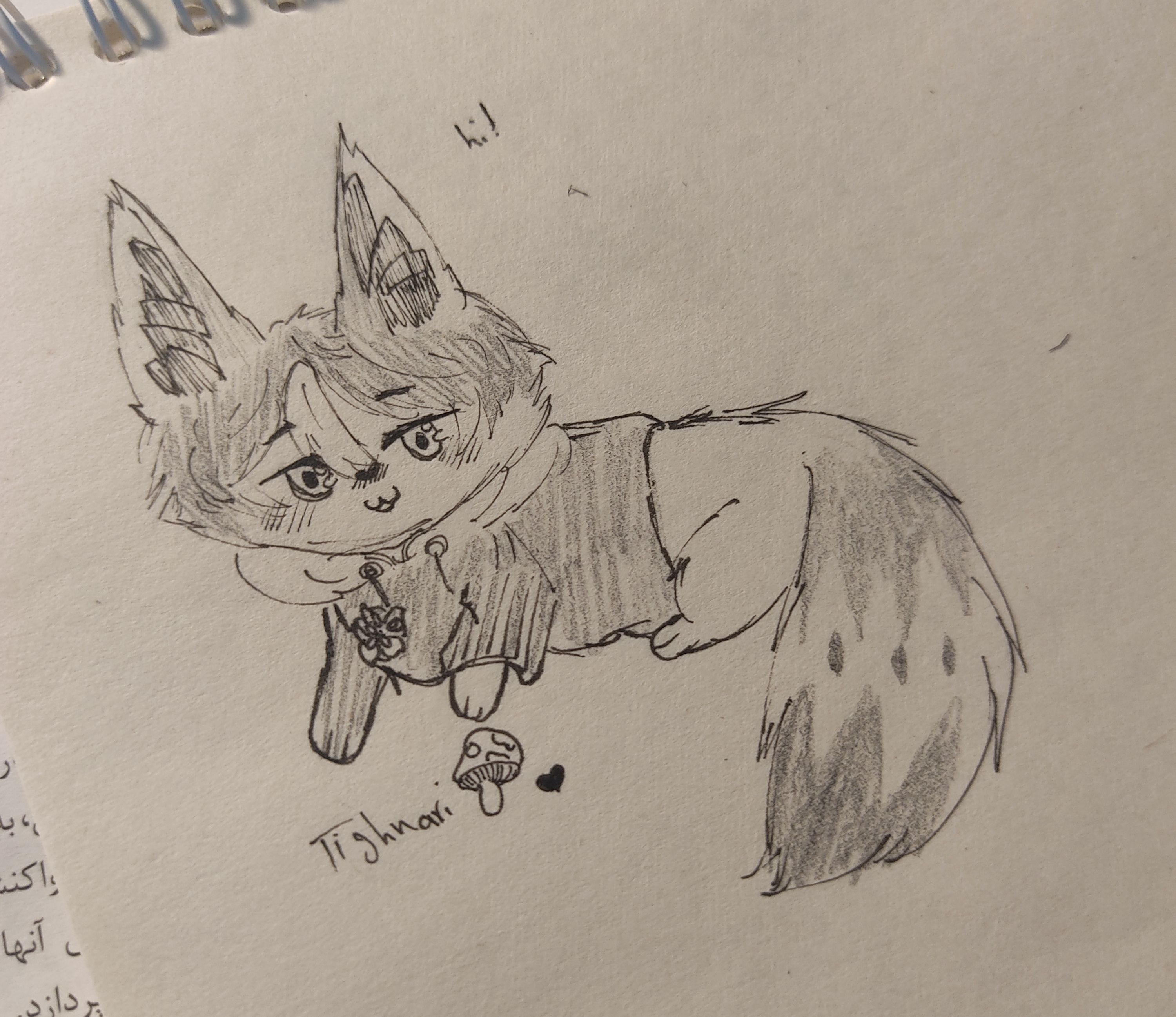 tighnari fox form drawing 💚🍄 Genshin Impact | HoYoLAB