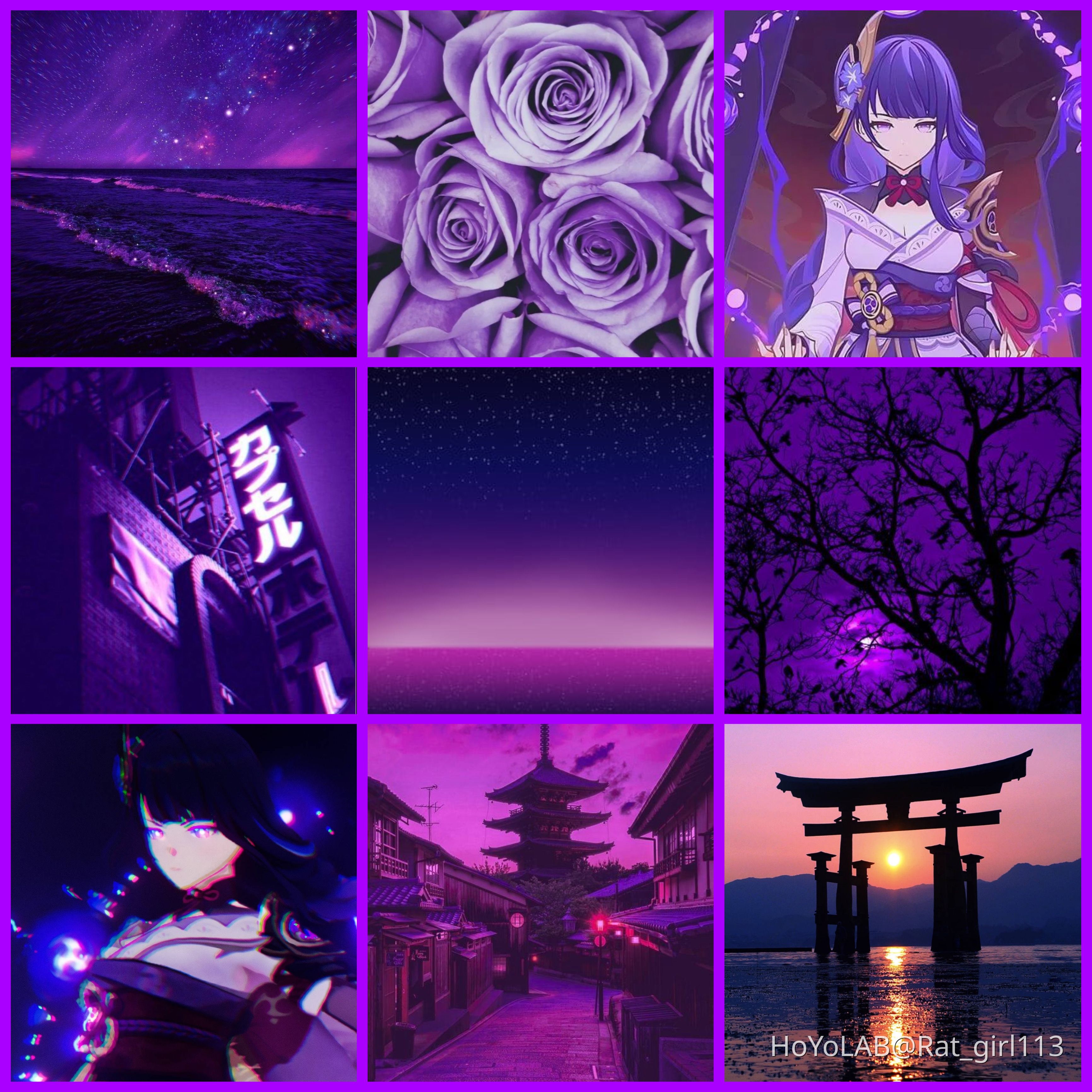 Raiden Shogun Aesthetic Genshin Impact | HoYoLAB