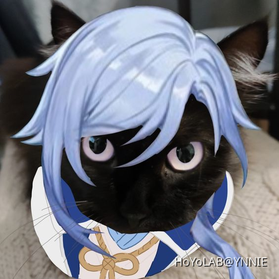 Why must people ruin cats and Ayato. I cant tell the difference anymore ...