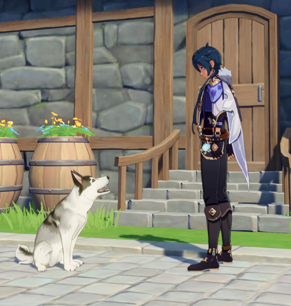 I Kaeya and this dog make eye contact:) Genshin Impact | HoYoLAB
