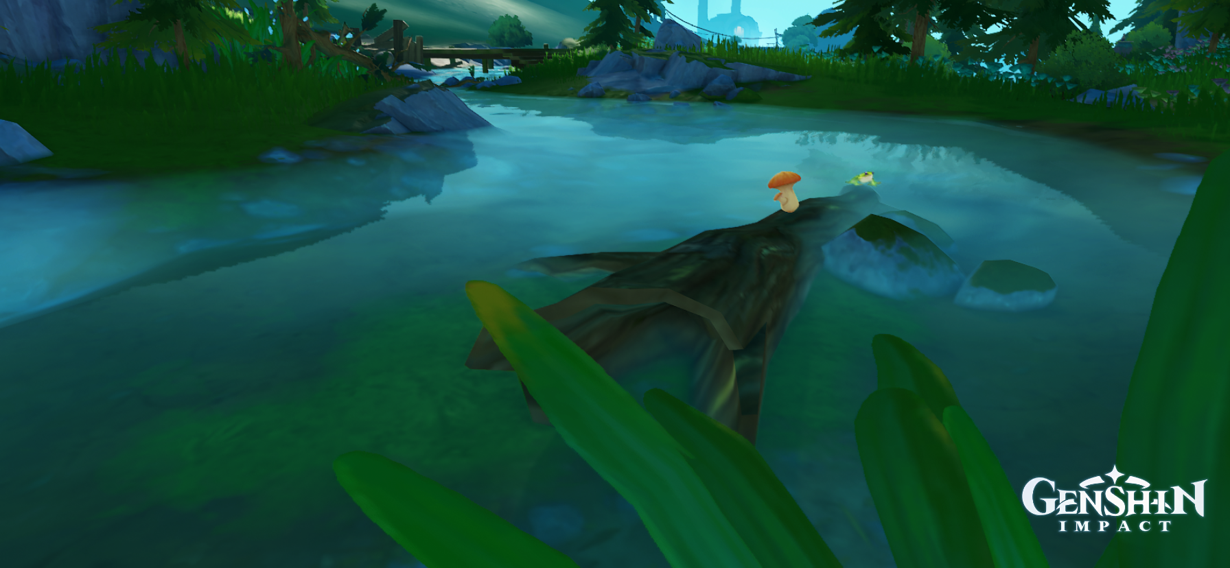 some frogs in fontaine 💚🐸 Genshin Impact | HoYoLAB