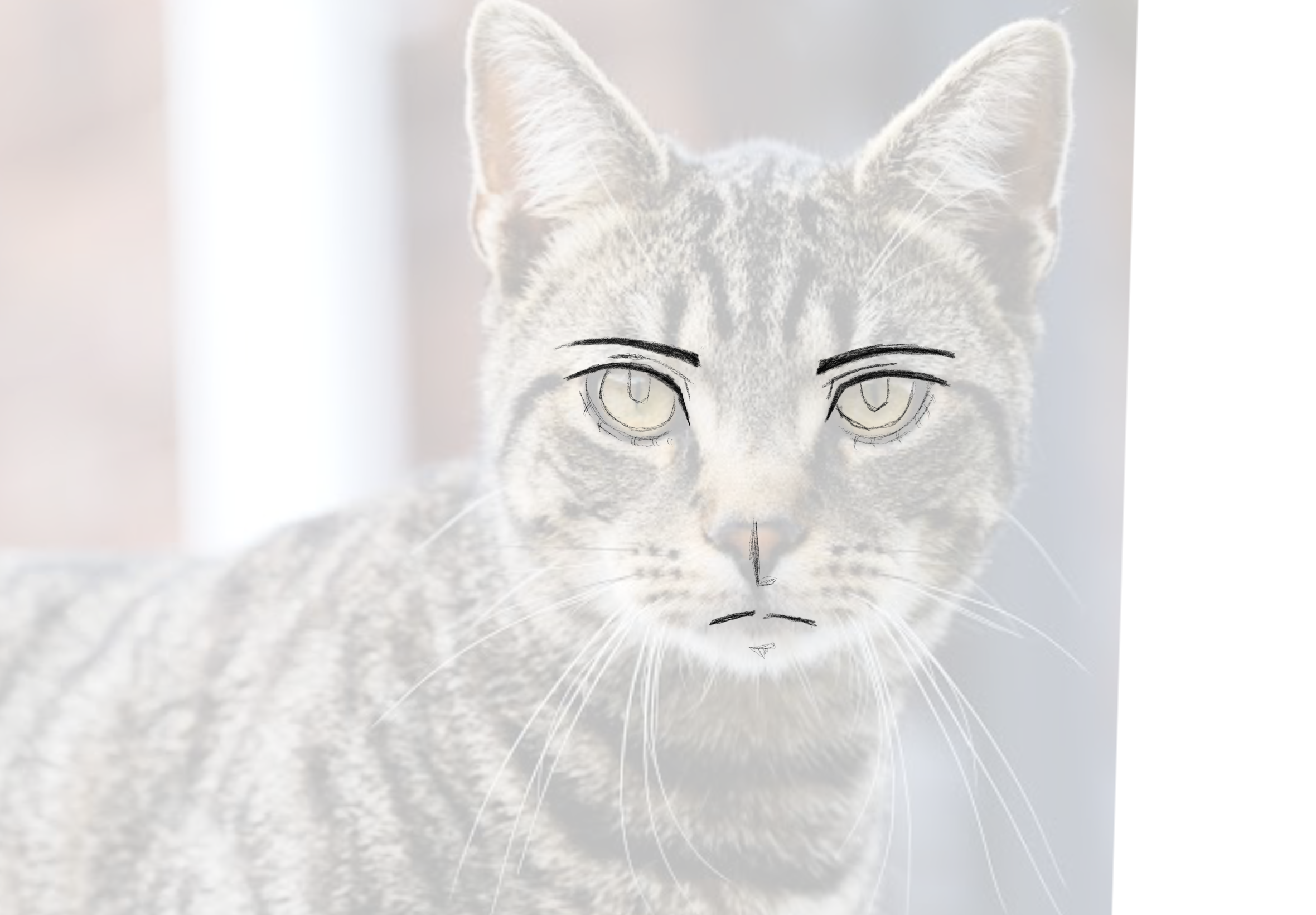 "Anime uses cat proportions to draw faces" I mean like- | HoYoLAB