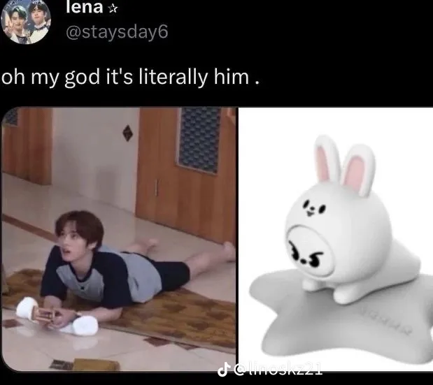 skz memes #8 | HoYoLAB