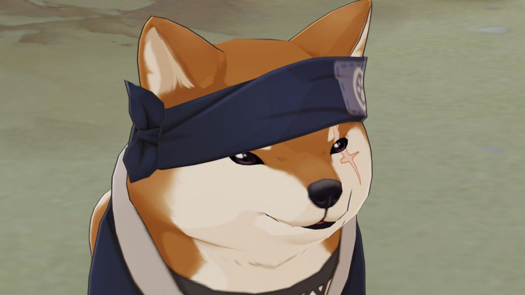 Shiba?! Genshin Impact | HoYoLAB