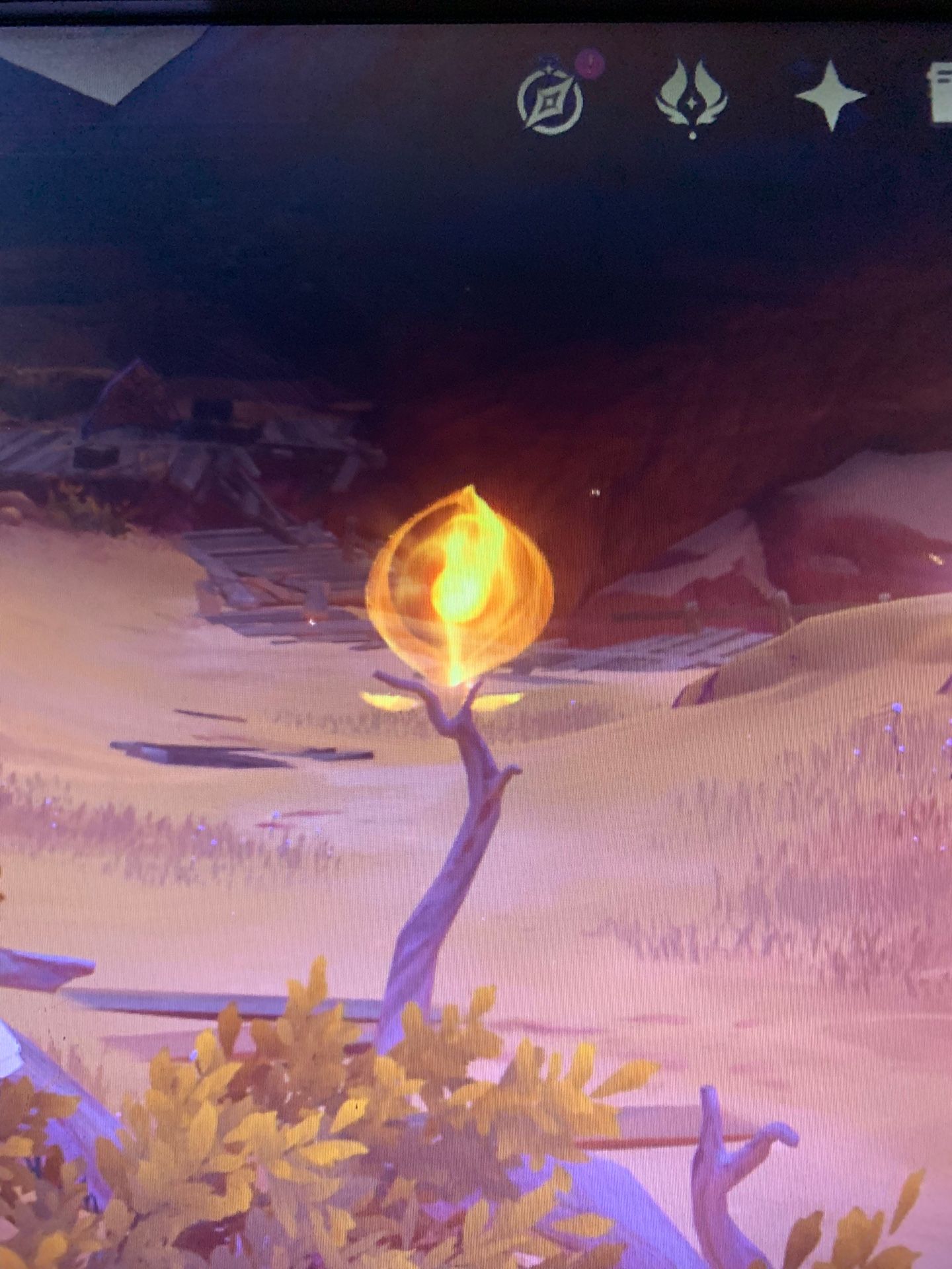 (Help) what is this in sumeru Genshin Impact | HoYoLAB