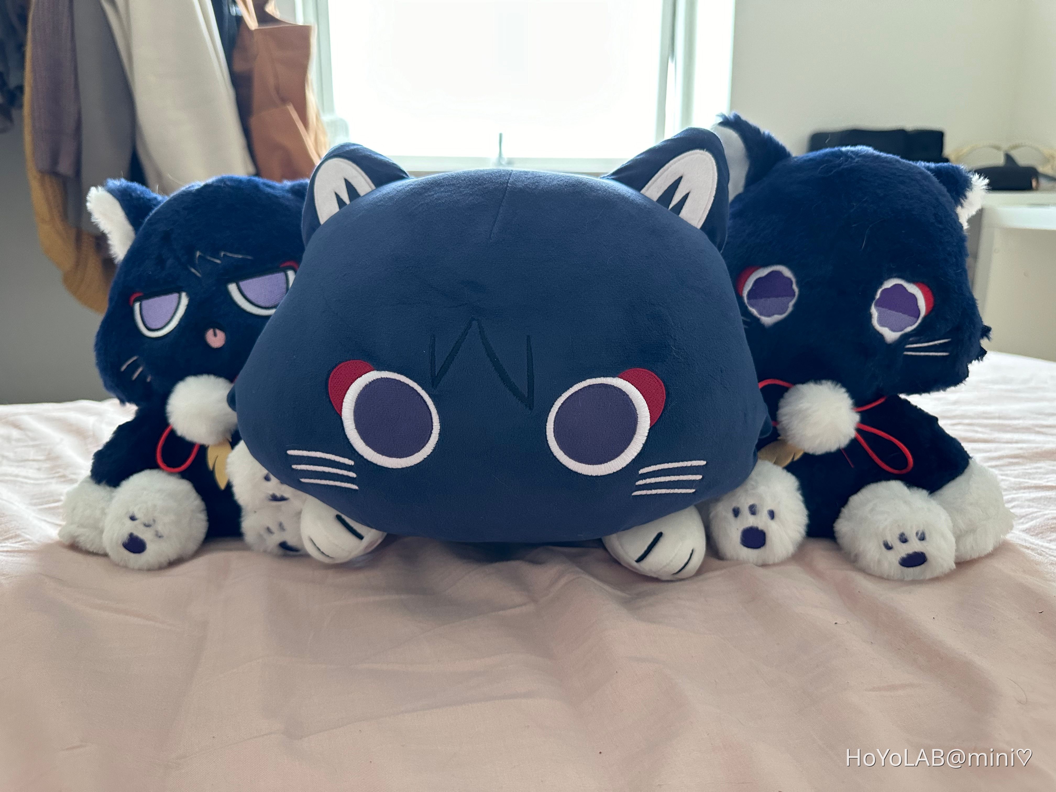 scarameow!! Genshin Impact | HoYoLAB