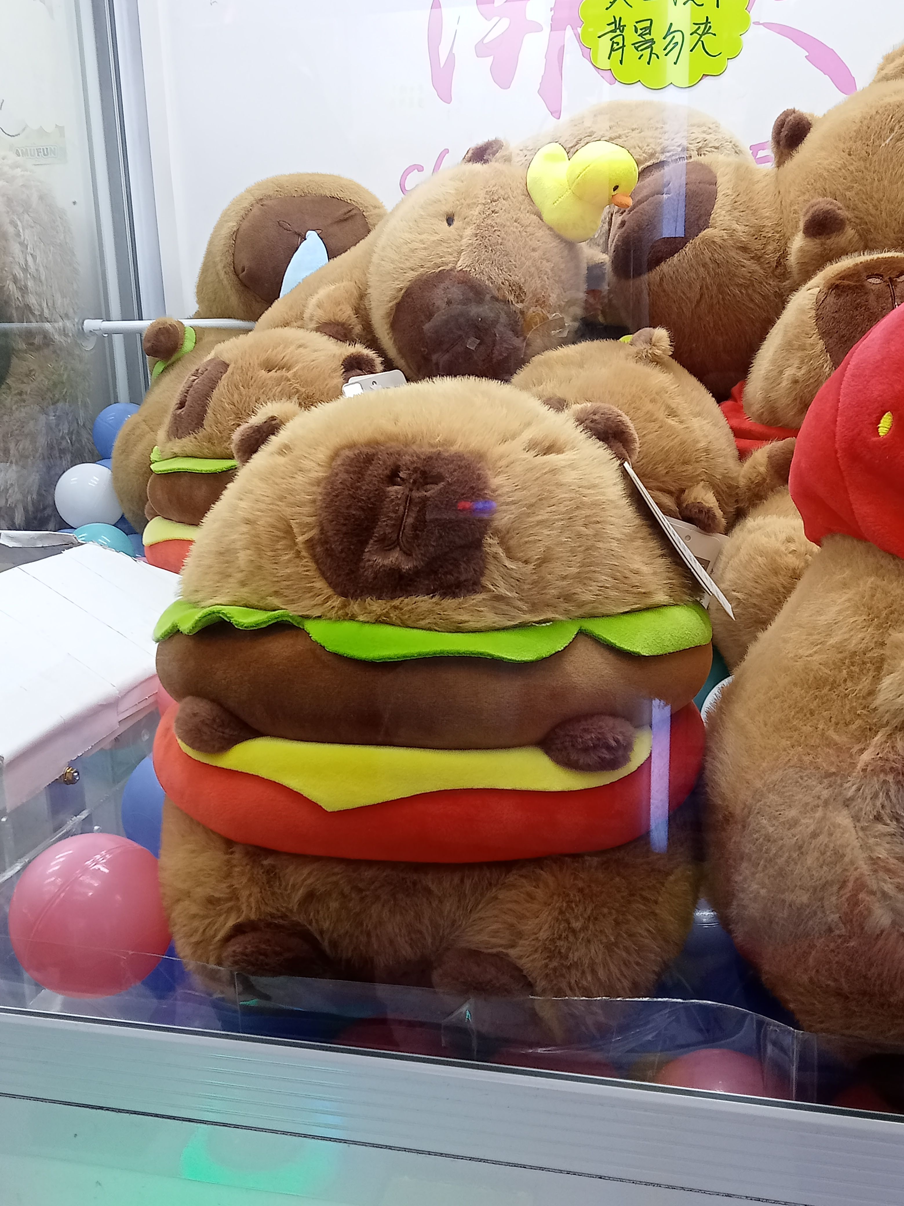 capyburger | HoYoLAB