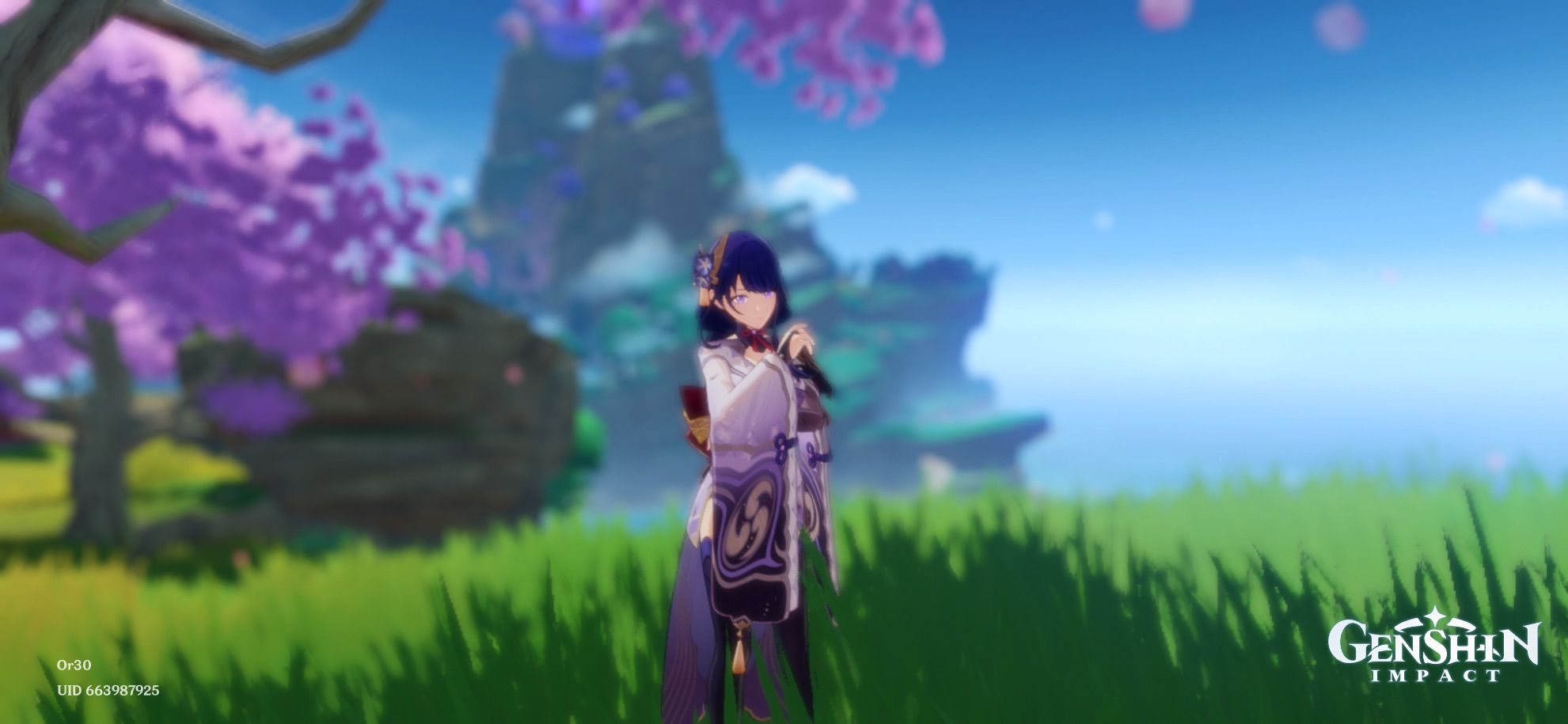 Raiden In Inazuma! Genshin Impact | HoYoLAB