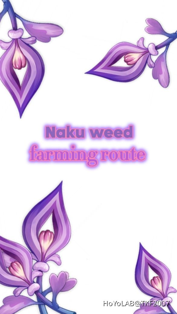 Naku weed - farming route Genshin Impact | HoYoLAB