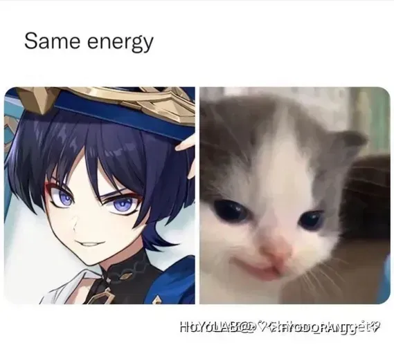 Sharing my Wanderer/ scaramouche memes cuz i have nothing to do 😃👍 ...