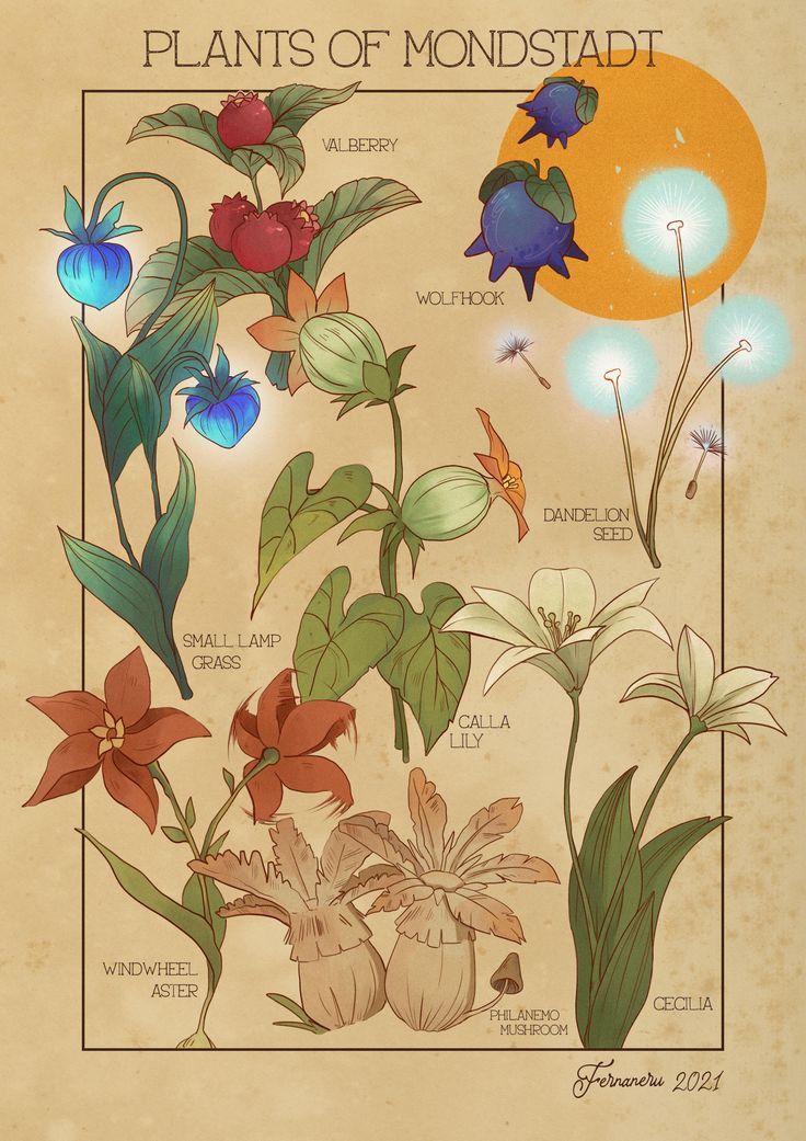 Monstad flowers are so magnifistent Genshin Impact | HoYoLAB