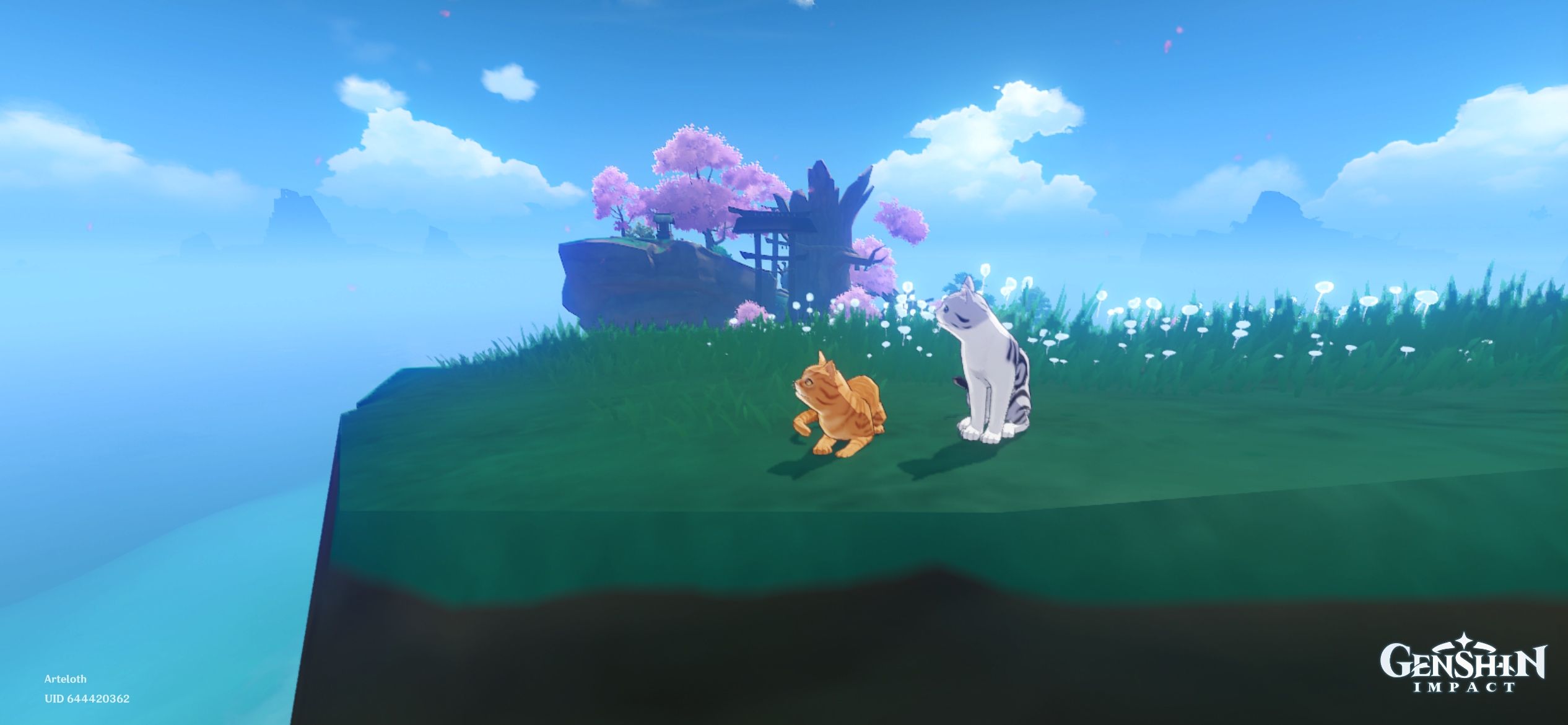 inazuman cats lookin pretty Genshin Impact | HoYoLAB