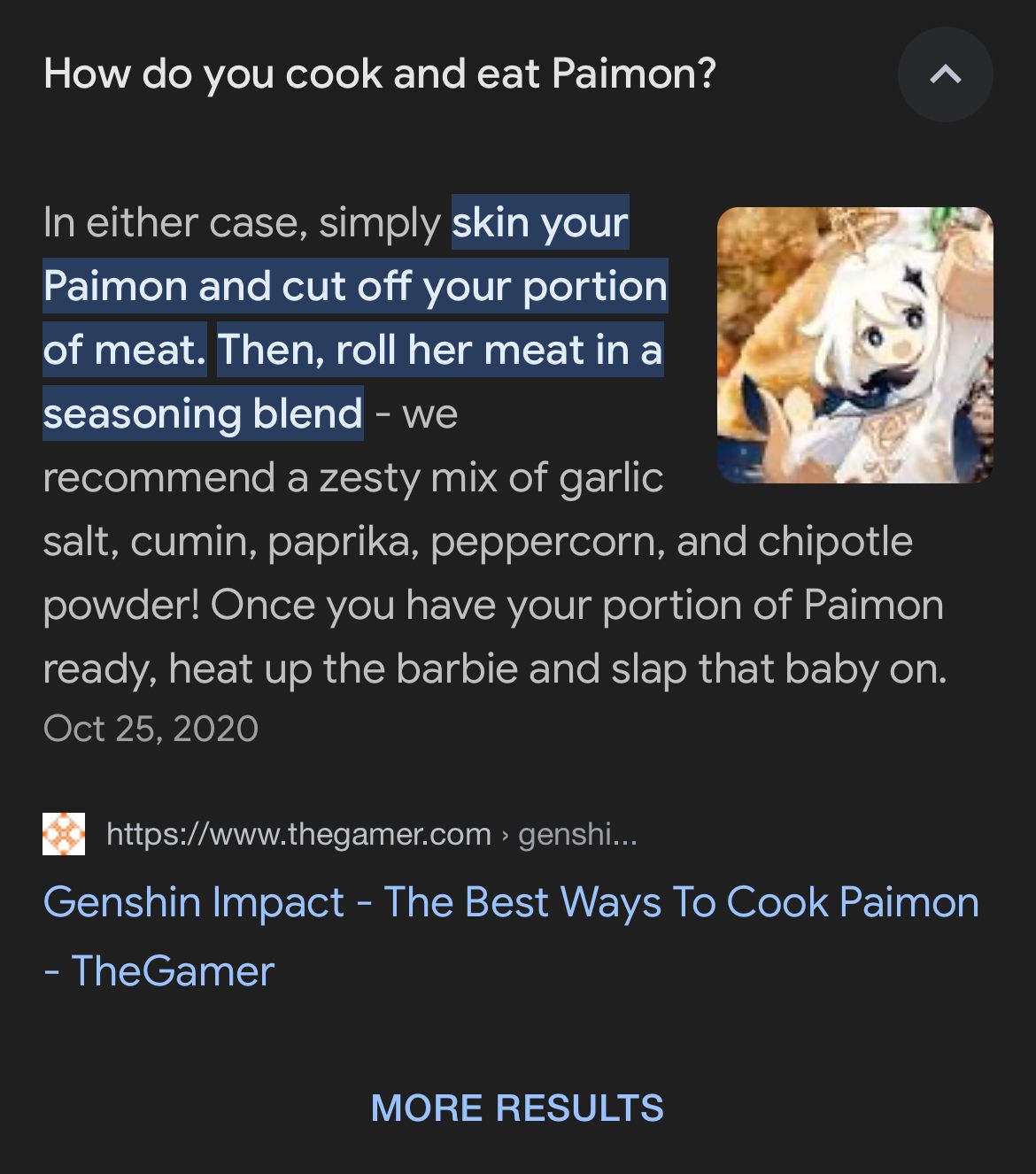 NOW WE KNOW THE PERFECT WAY TO COOK PAIMON Genshin Impact | HoYoLAB