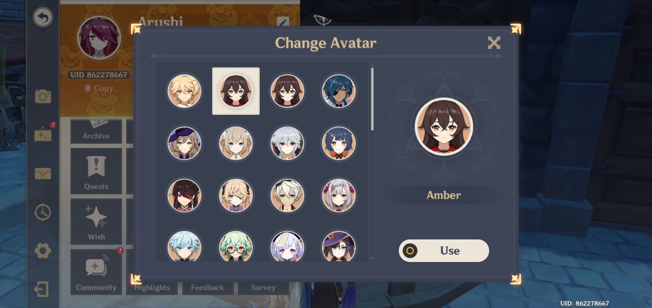 Change Avatar ..why they have 2 options and with csption Genshin Impact ...