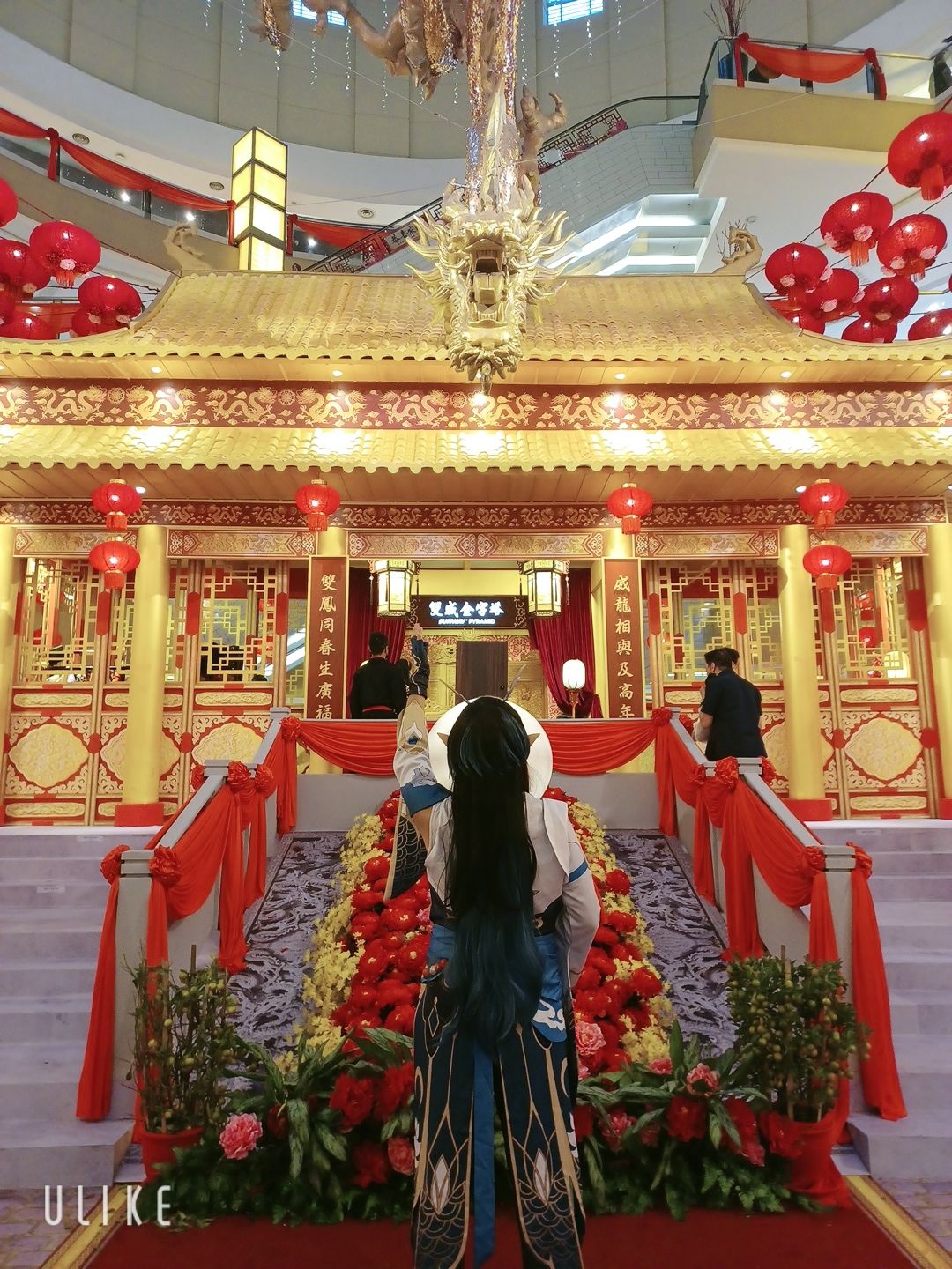 Dragon imperial Palace Honkai: Star Rail | HoYoLAB