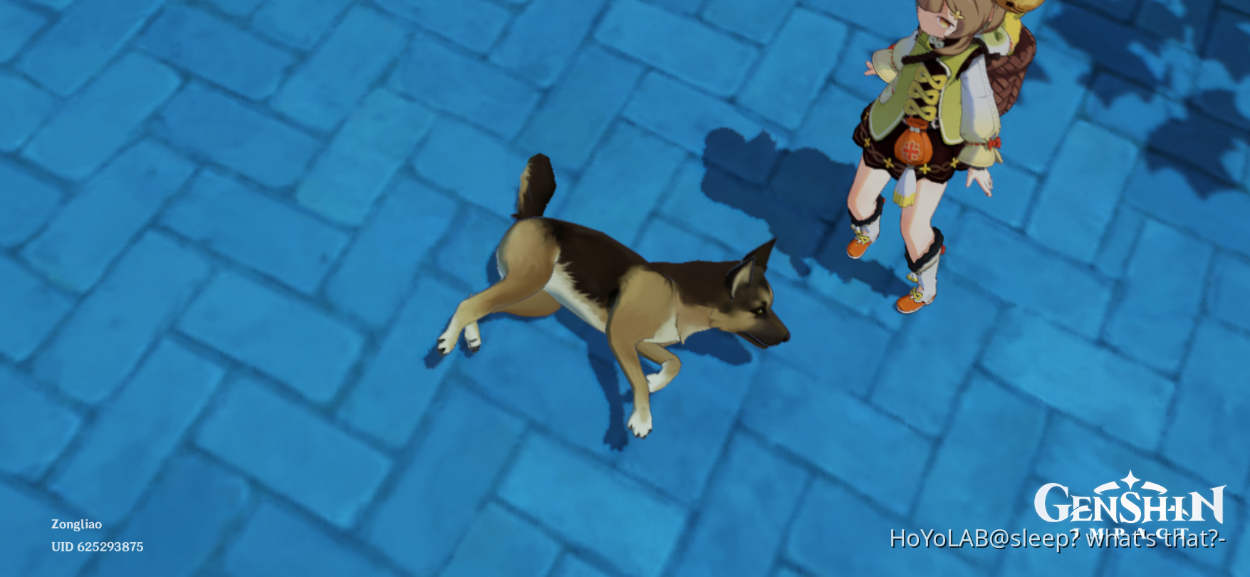 IT'S THE SAME BREED AS MY OLD DOG Genshin Impact | HoYoLAB