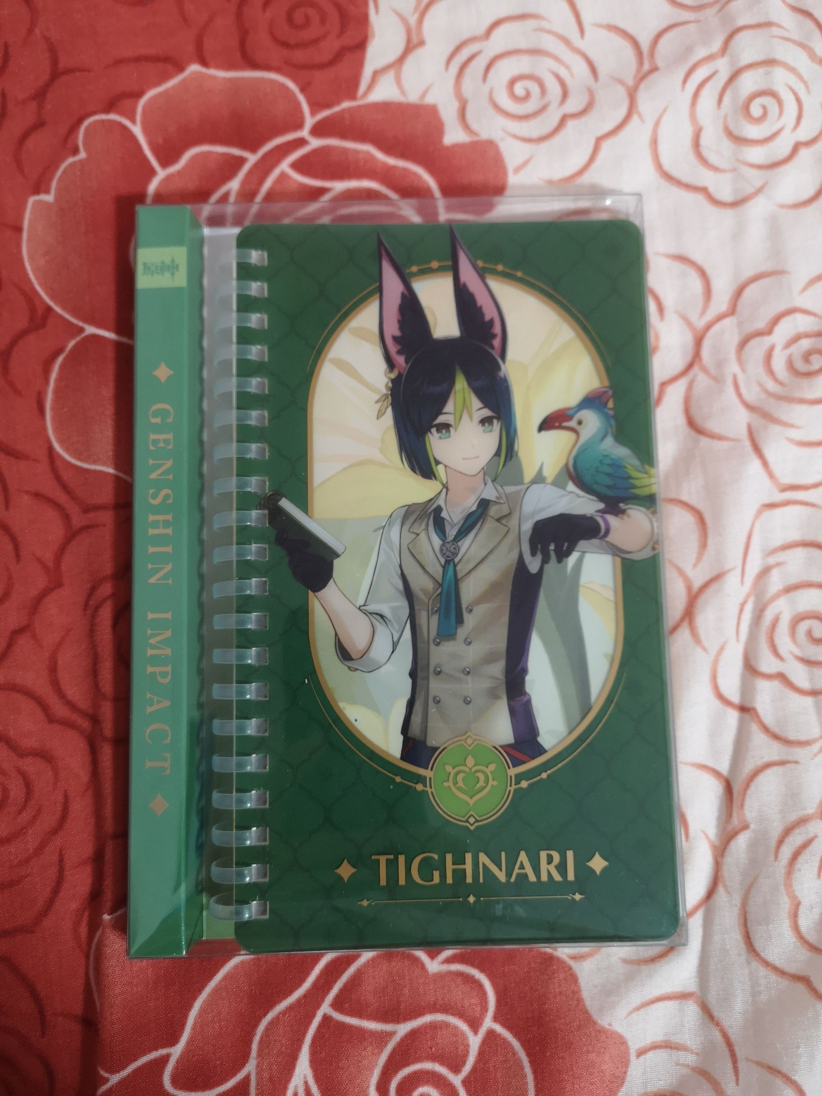 Tighnari notebook!