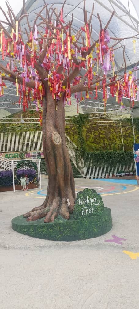 wishing tree Genshin Impact | HoYoLAB