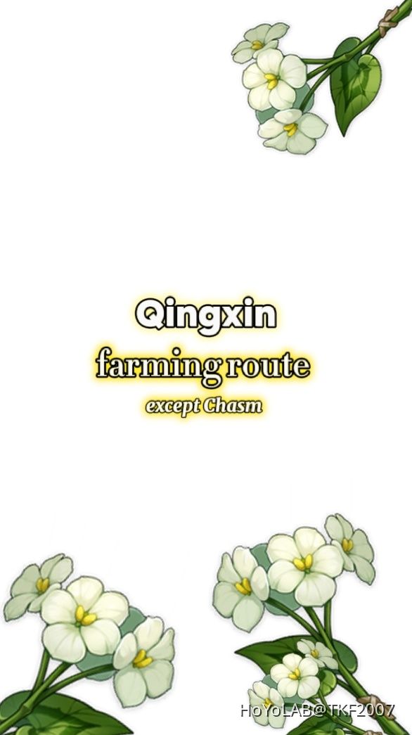 Qingxin - farming guide Genshin Impact | HoYoLAB